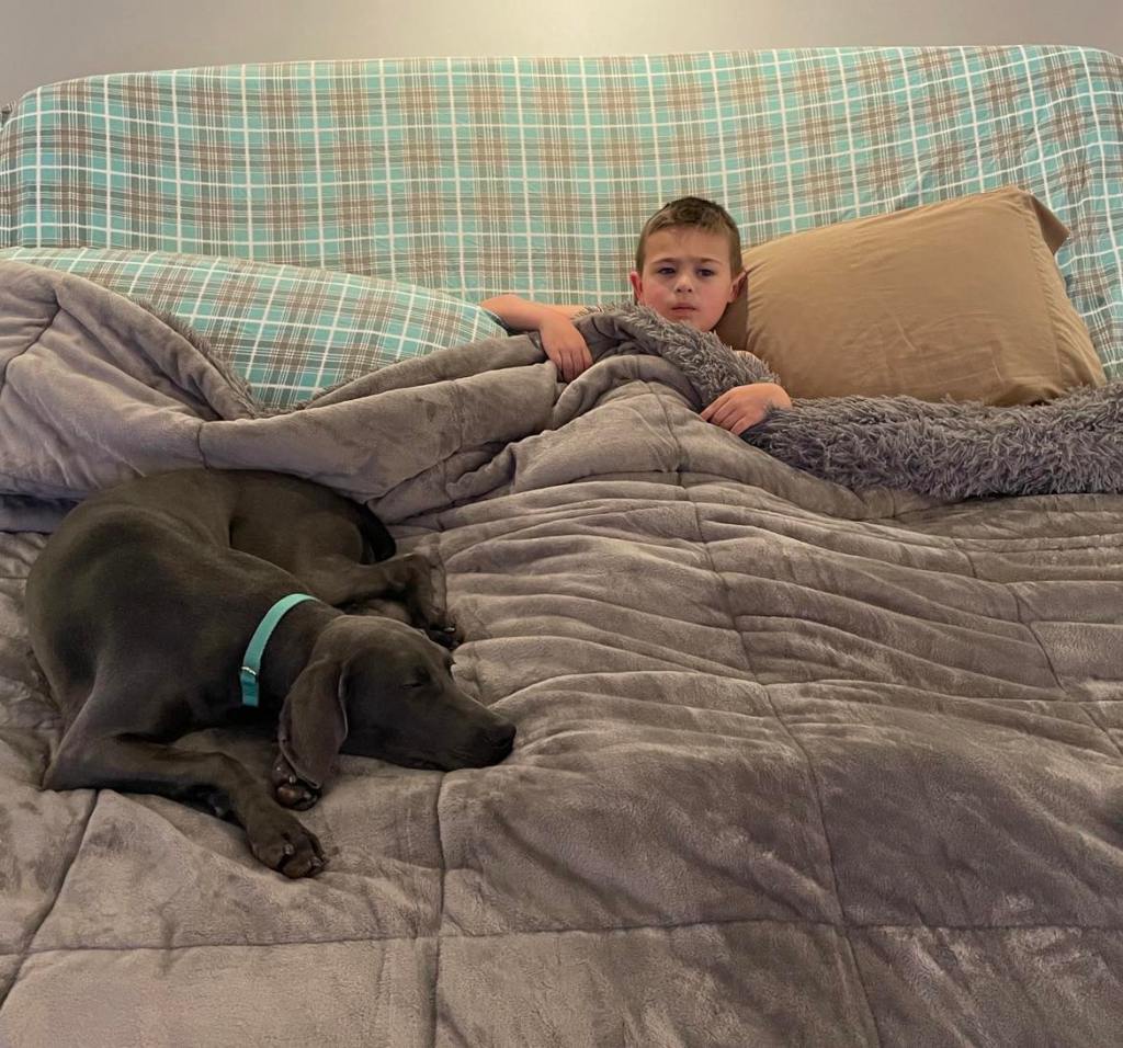 How to Transition to a No Nap Kindergarten - Mommy from the Block